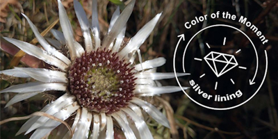 Color Materials for Coatings | Sun Chemical