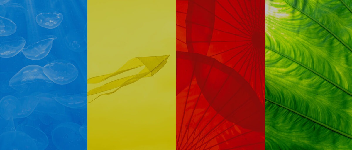 Packaging + Graphics Solutions | Sun Chemical